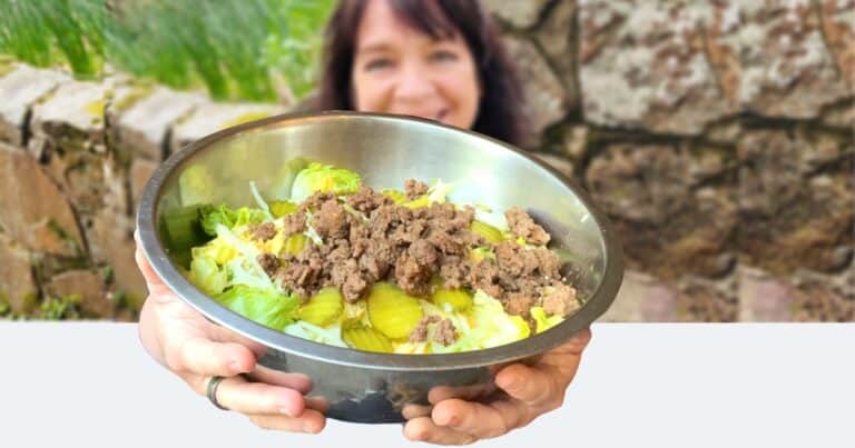 The Now-World Famous Ridiculously Big, Big Mac Salad - Eat Like a Bear!